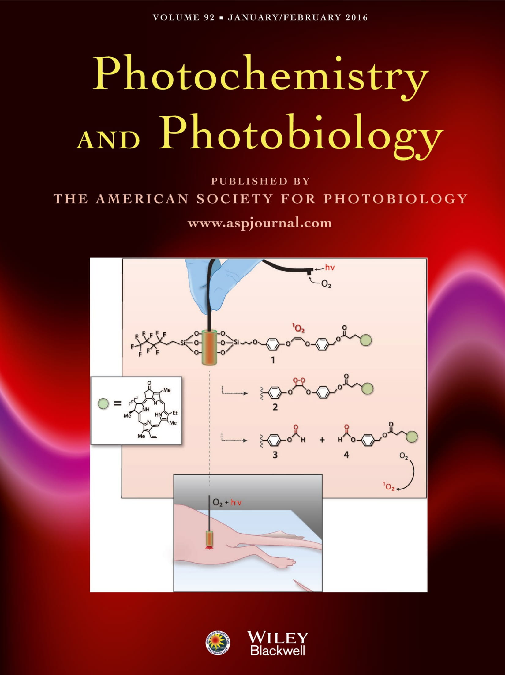 Assistant Professor (1999-2003), Associate Professor (2004-2007 ...