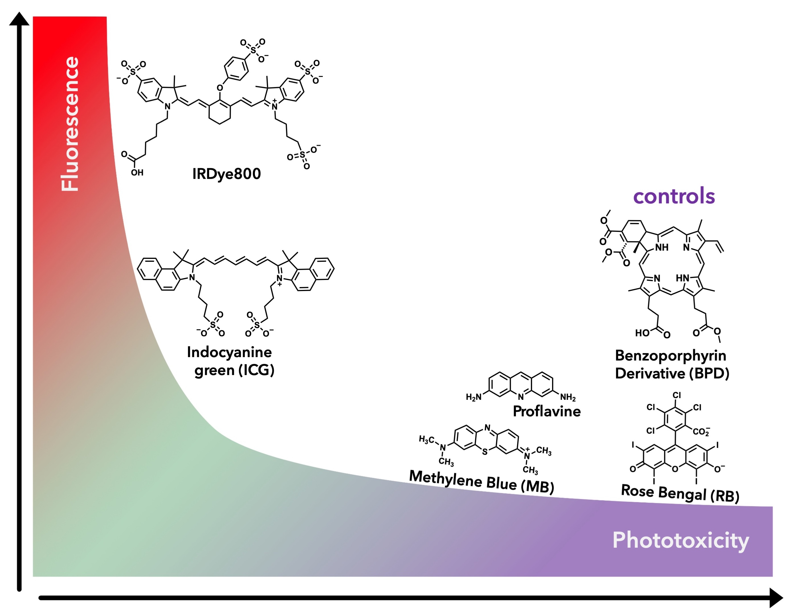 S. Venkataramani and A. Greer, “ Special Issue devoted to Photosciences ...
