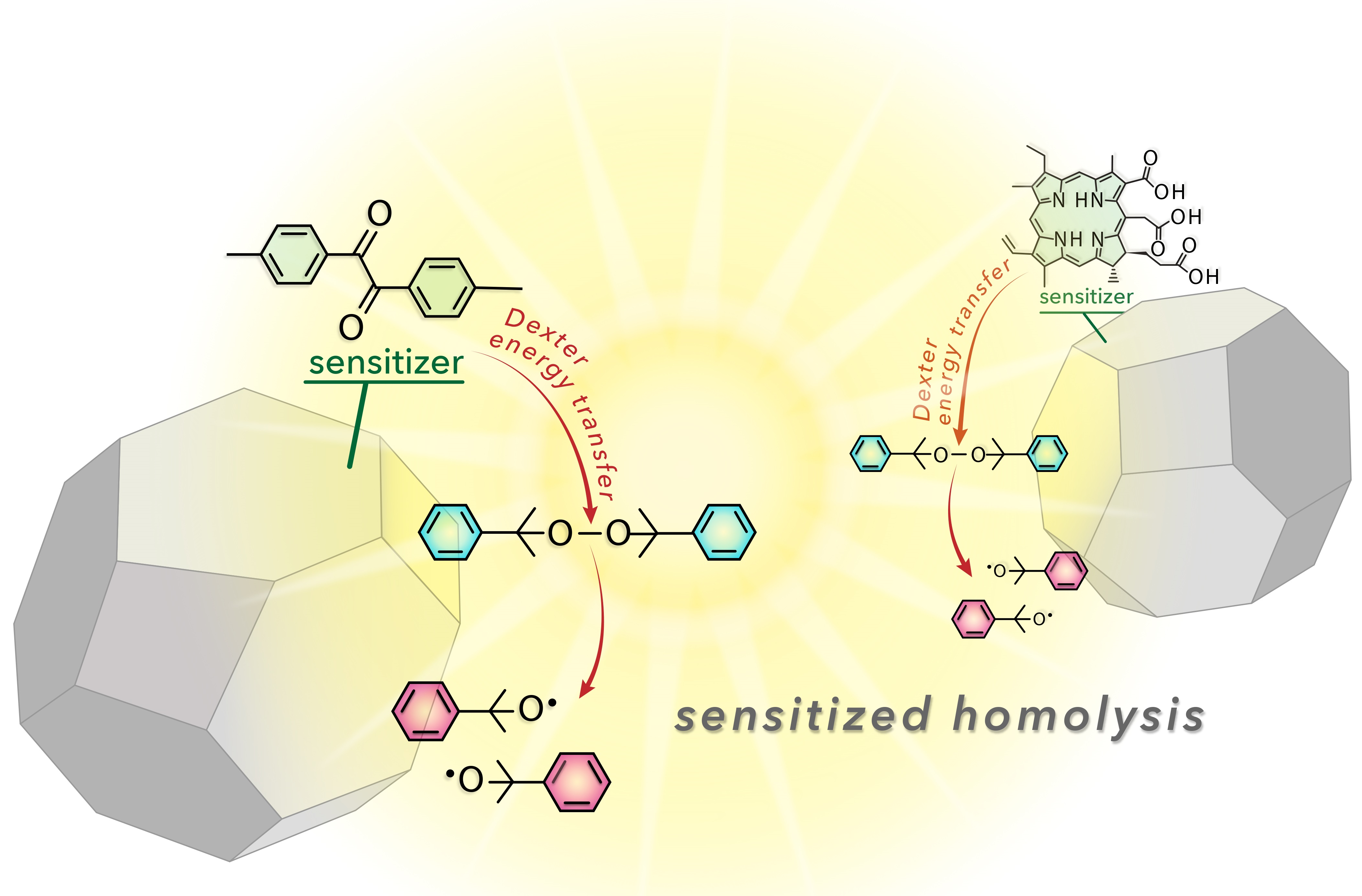 LABORATORY ROTATIONS
